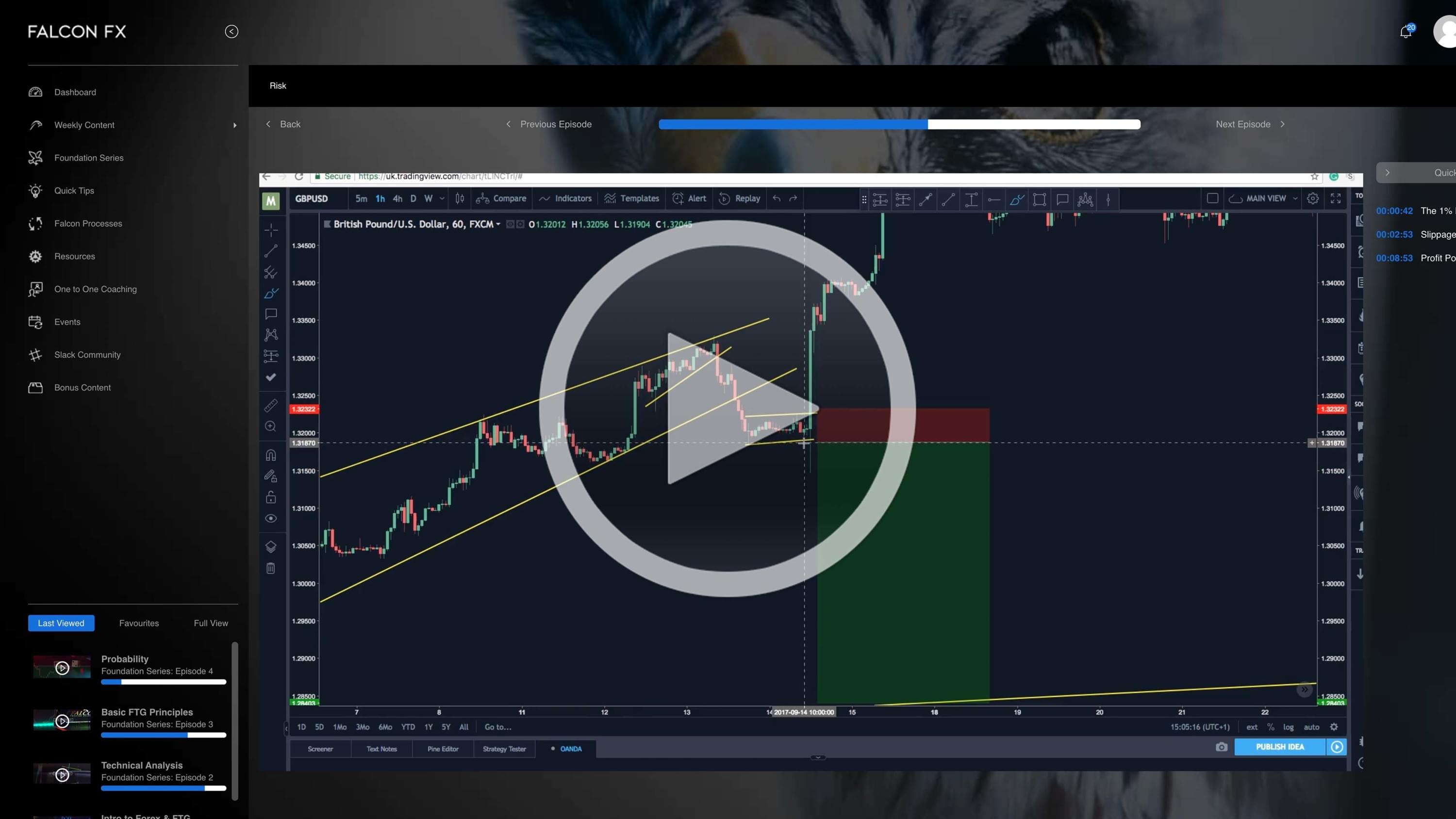 Join the Falcon FX Global Trading Community Membership Program